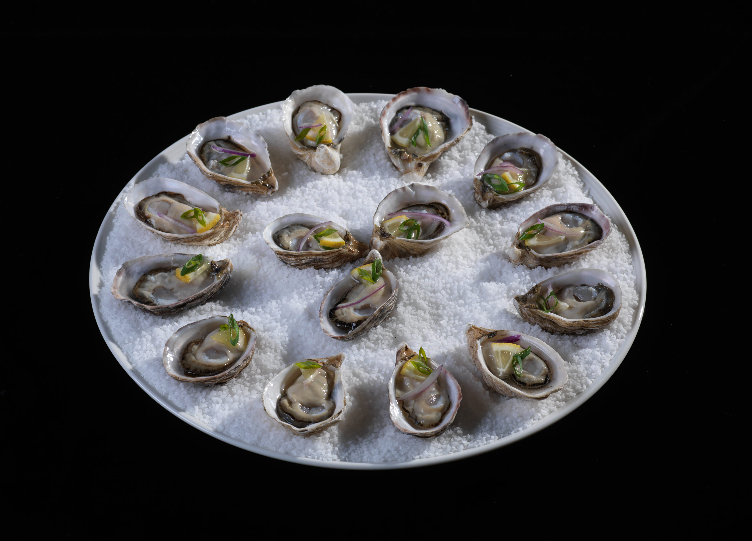 Oyster Farm | Quality & Cultivation of Kusshi Oysters, Deep Bay, BC